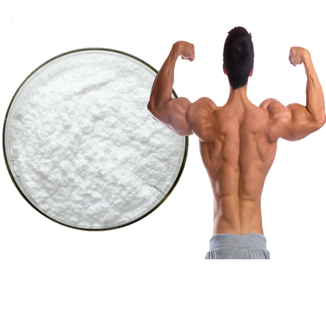 White Sarms MK 677 Powder 99% Ibutamoren Increases Growth Hormone