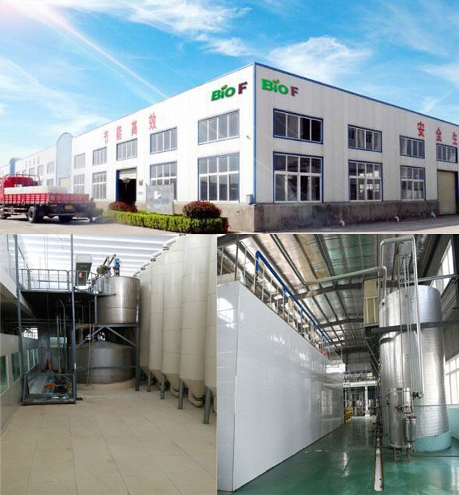 China Xian Biof Bio-technology Co.,Ltd company profile
